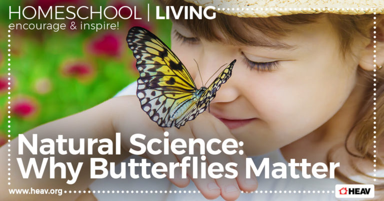 Butterfly Unit Study